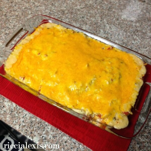 Zesty Salsa Chicken Casserole - ricci alexis