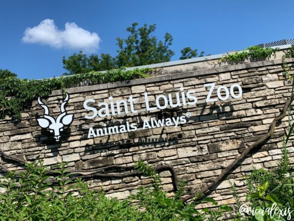 My First Trip to the St. Louis Zoo